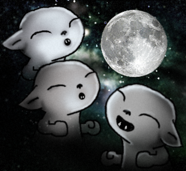 [Image - 16002] | Three Wolf Moon | Know Your Meme