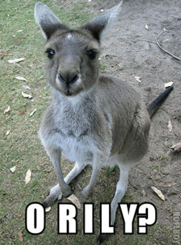 [Image - 16339] | O RLY? | Know Your Meme