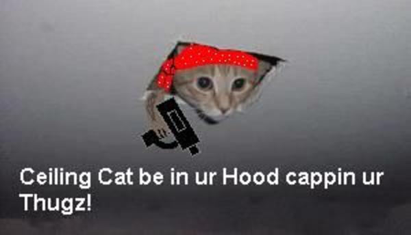 [Image - 16654] | Ceiling Cat | Know Your Meme