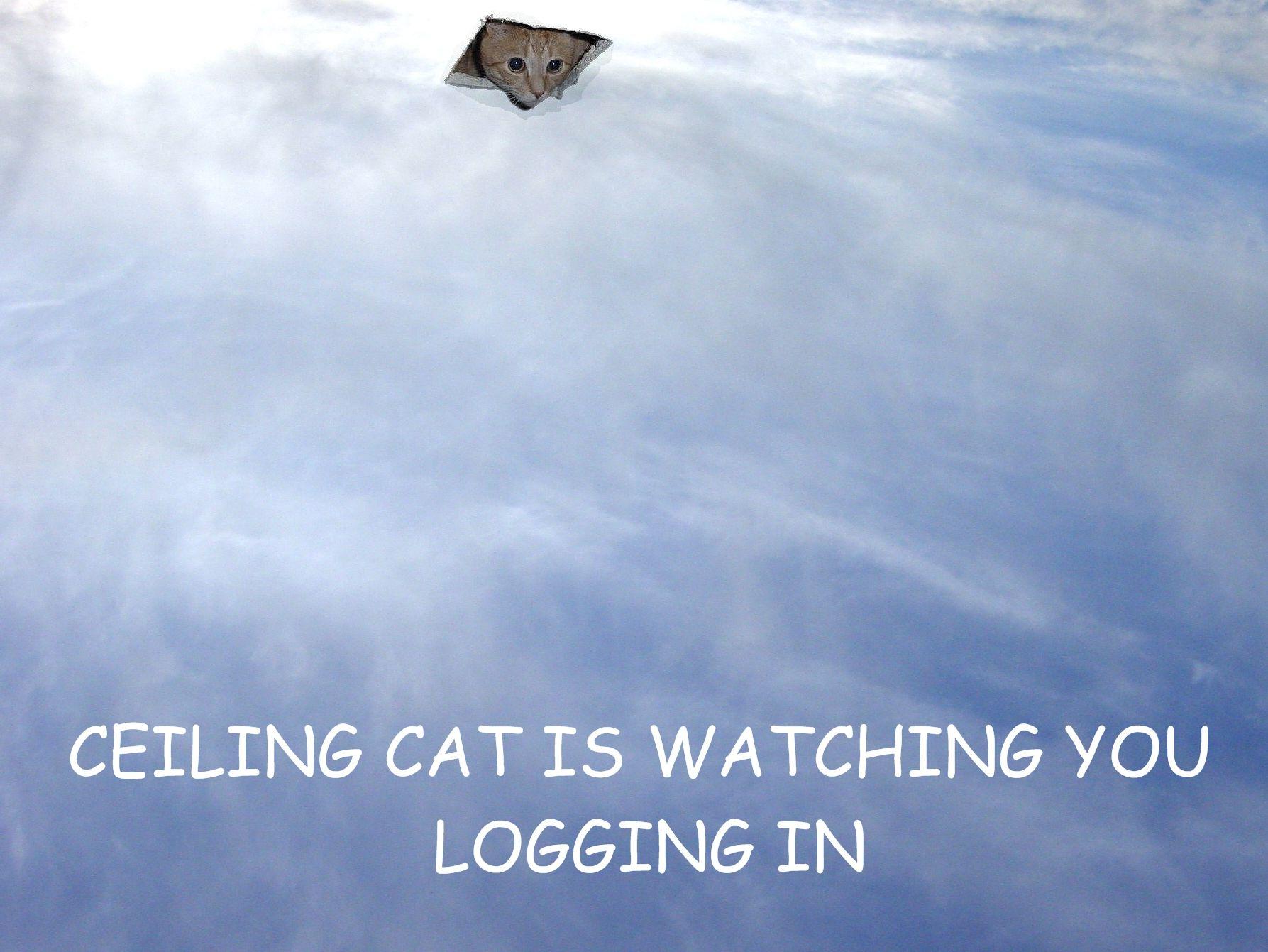 [Image - 16687] | Ceiling Cat | Know Your Meme