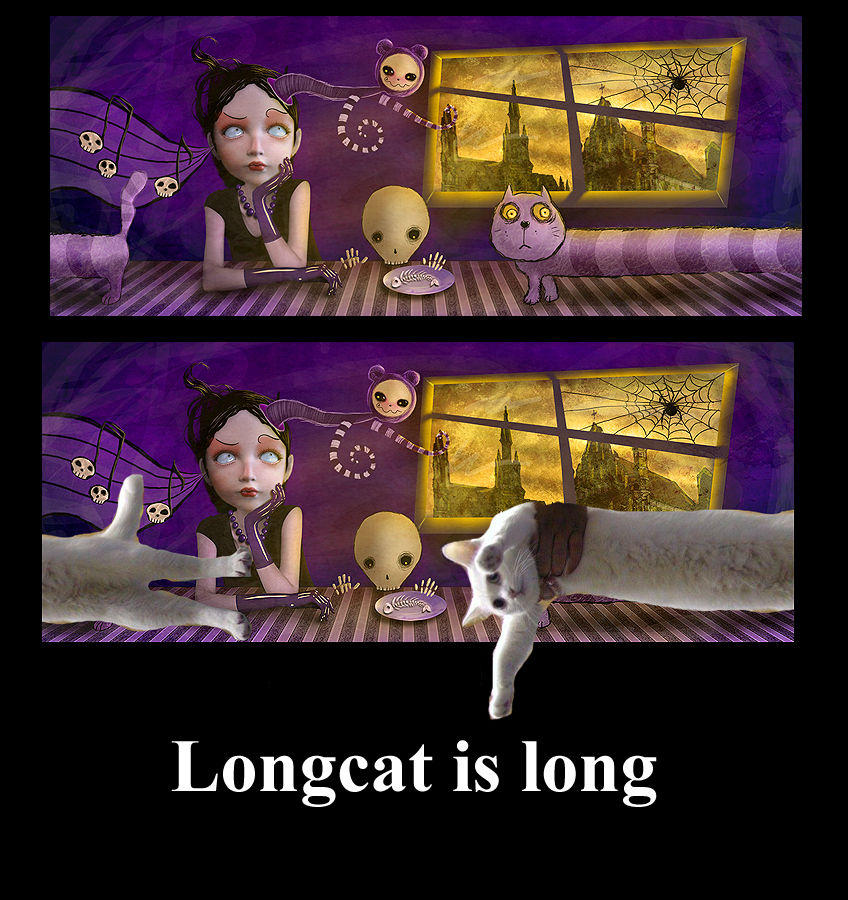[Image - 16700] | Longcat | Know Your Meme