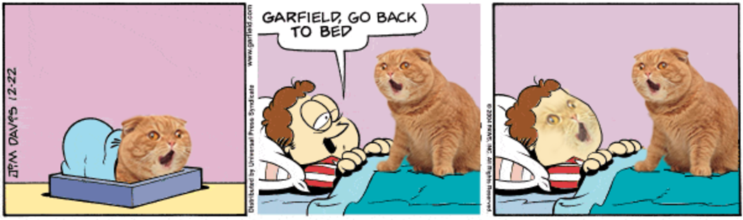[Image - 17264] | Garfield Parodies | Know Your Meme