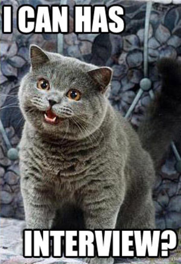 [Image - 17598] | Happy Cat | Know Your Meme