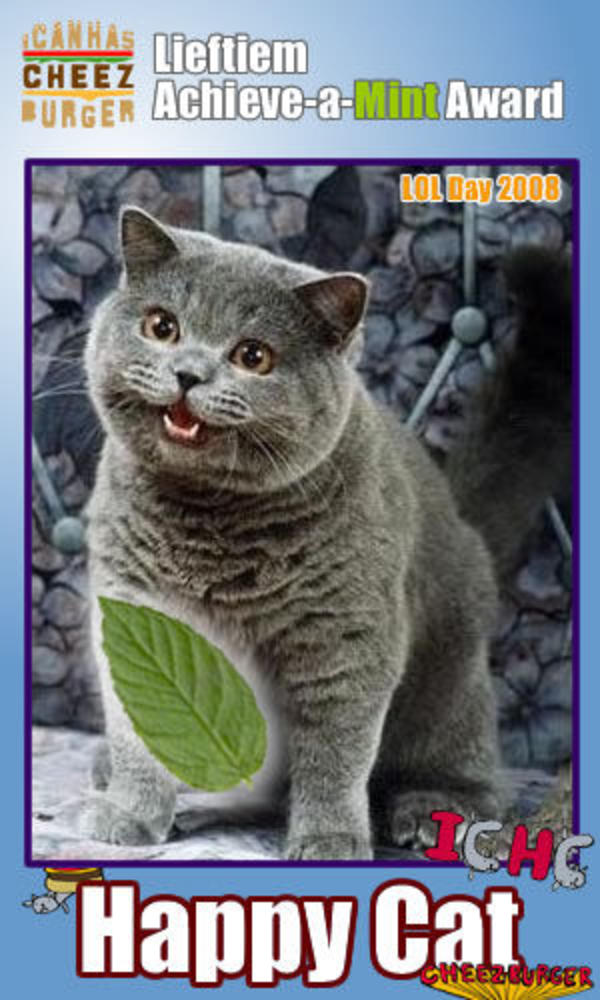 [Image - 17600] | Happy Cat | Know Your Meme