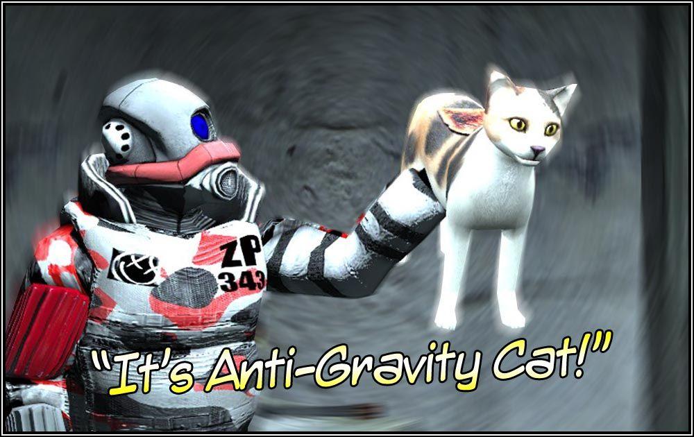 [Image - 17646] | Gravity Cat | Know Your Meme