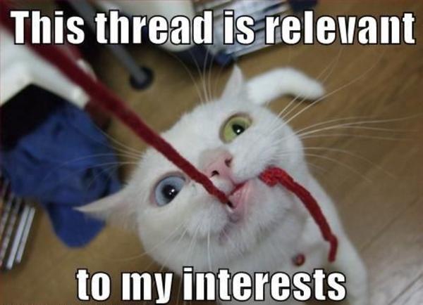 [Image - 19245] | This is Relevant To My Interests | Know Your Meme