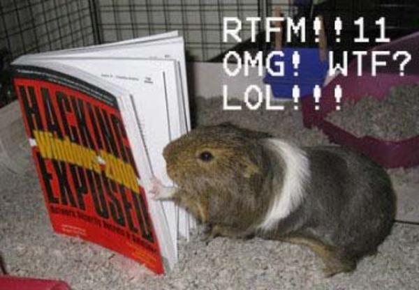 [Image - 19576] | RTFM | Know Your Meme