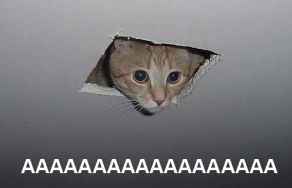 [Image - 20681] | Aaaaaaaa | Know Your Meme