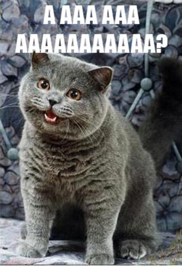 [Image - 20694] | Aaaaaaaa | Know Your Meme