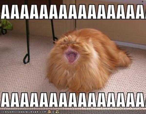 [Image - 20744] | Aaaaaaaa | Know Your Meme