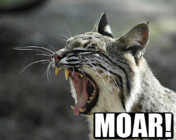 [Image - 20761] | MOAR | Know Your Meme