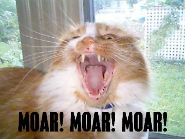 [Image - 20763] | MOAR | Know Your Meme