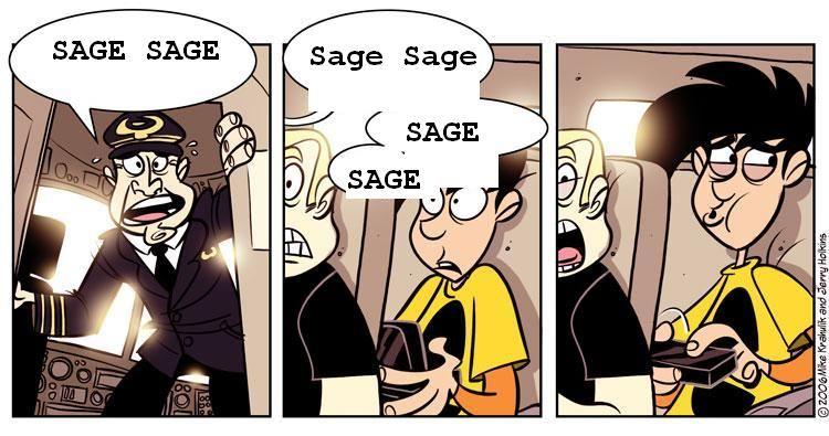 [Image - 21287] | Sage | Know Your Meme