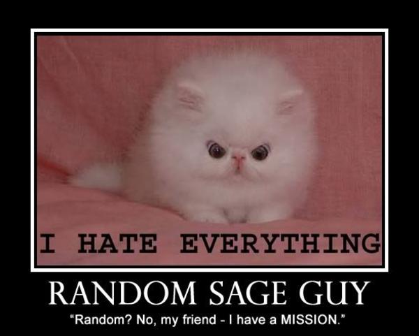 [Image - 21359] | Sage | Know Your Meme