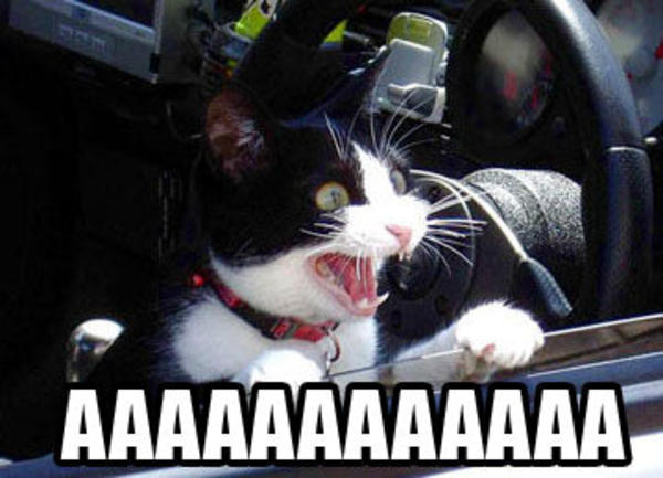 [Image - 21405] | Aaaaaaaa | Know Your Meme