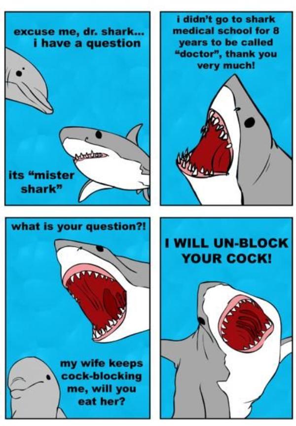 [Image - 21479] | The Singing Shark | Know Your Meme
