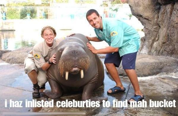 [Image - 21594] | Lolrus | Know Your Meme