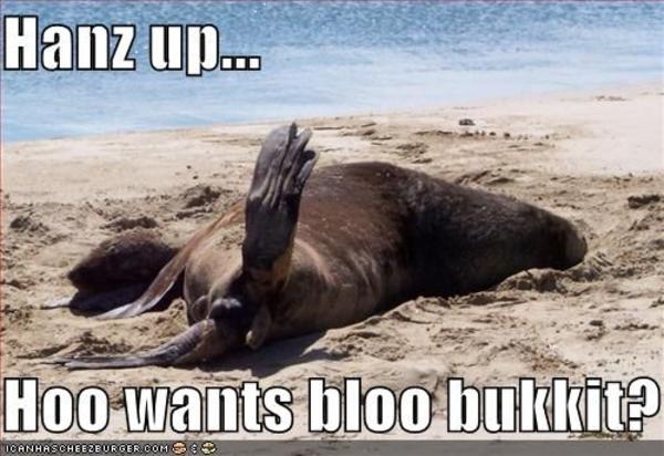 [Image - 21617] | Lolrus | Know Your Meme