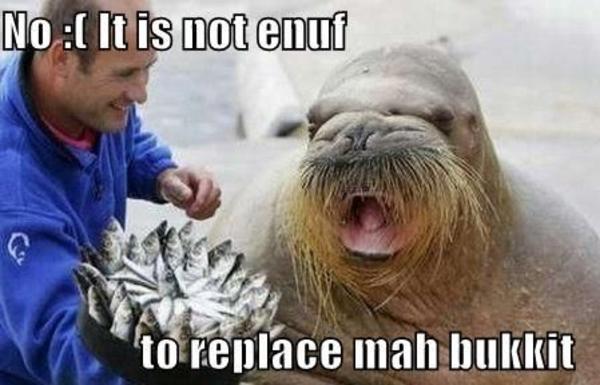 [Image - 21618] | Lolrus | Know Your Meme