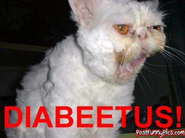 [Image - 21879] | Diabeetus | Know Your Meme