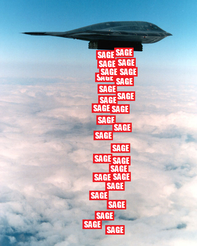 [Image - 22080] | Sage | Know Your Meme