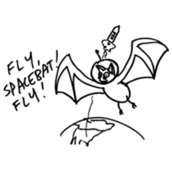 [Image - 22089] | Space Bat | Know Your Meme