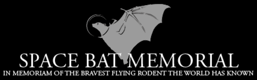 [Image - 22097] | Space Bat | Know Your Meme