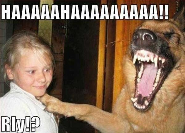 [Image - 22260] | O RLY? | Know Your Meme