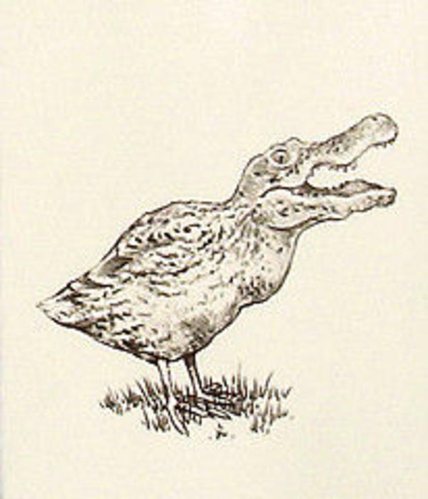 [Image - 22489] | Crocoduck | Know Your Meme