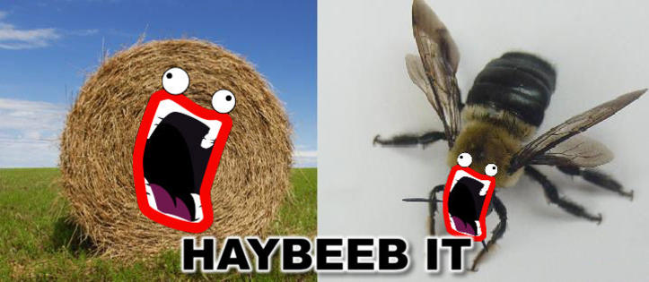 [Image - 22609] | HABEEB IT | Know Your Meme