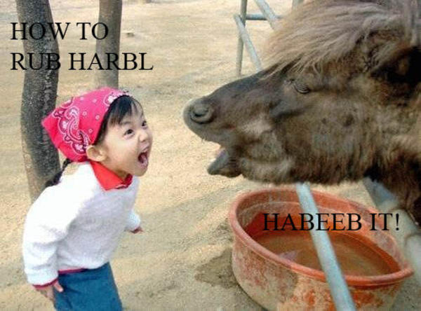 [Image - 22627] | HABEEB IT | Know Your Meme