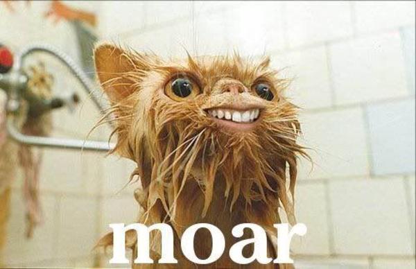 [Image - 23009] | MOAR | Know Your Meme