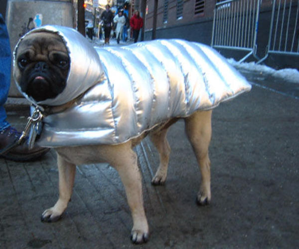 [Image - 23101] | Balloon Boy | Know Your Meme