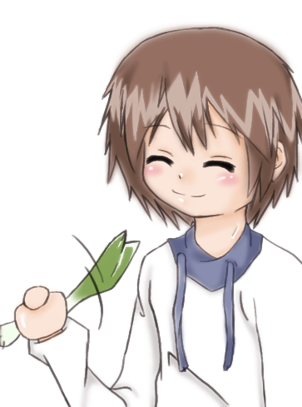 [Image - 23177] | Leekspin / Loituma Girl | Know Your Meme