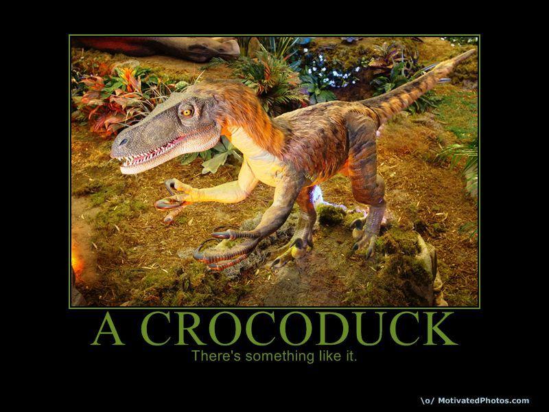 [Image - 23340] | Crocoduck | Know Your Meme