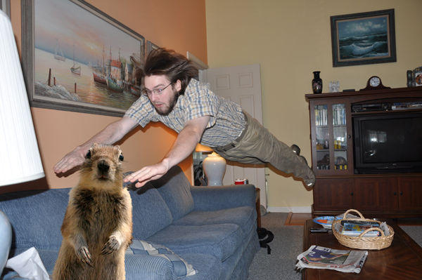 [Image - 23578] | Crasher Squirrel | Know Your Meme
