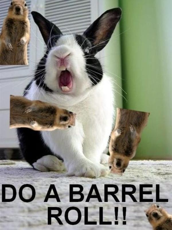 [Image - 24477] | Crasher Squirrel | Know Your Meme