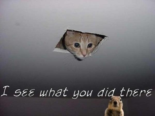 [Image - 24481] | Crasher Squirrel | Know Your Meme