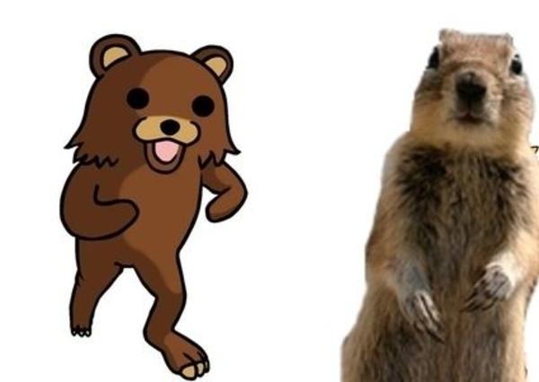 [Image - 24484] | Crasher Squirrel | Know Your Meme