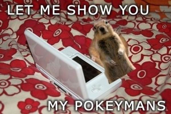 [Image - 24485] | Crasher Squirrel | Know Your Meme