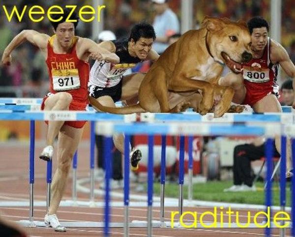 [Image - 24529] | Weezer Raditude Dog | Know Your Meme