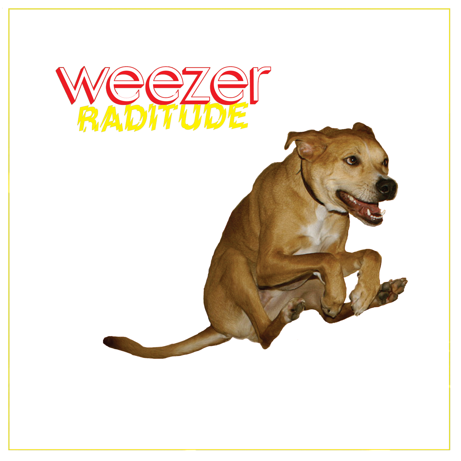 [Image - 24546] | Weezer Raditude Dog | Know Your Meme
