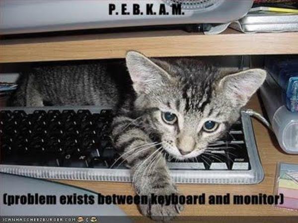 [Image - 24614] | PEBKAC | Know Your Meme