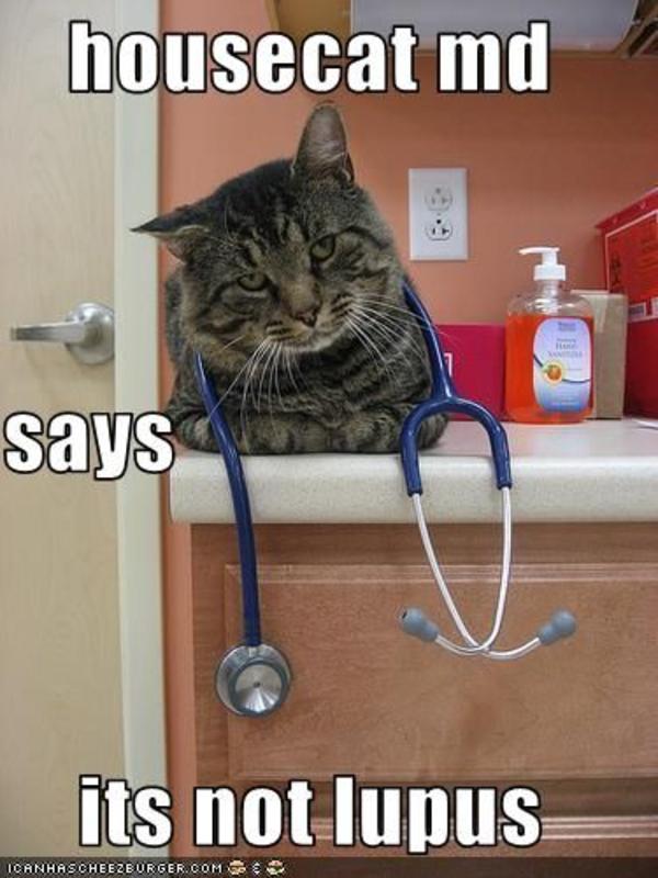 [Image - 24715] | It's Not Lupus | Know Your Meme