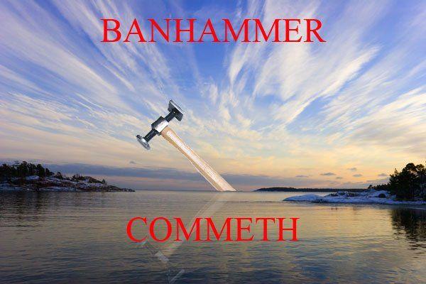 [Image - 24726] | Banhammer | Know Your Meme