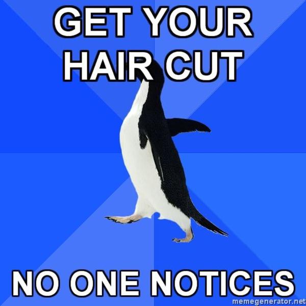 [Image - 25309] | Socially Awkward Penguin | Know Your Meme