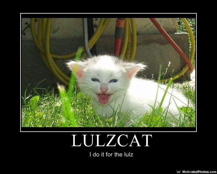 [Image - 25332] | I Did It for the Lulz | Know Your Meme