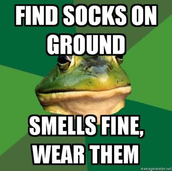 [Image - 25556] | Foul Bachelor Frog | Know Your Meme