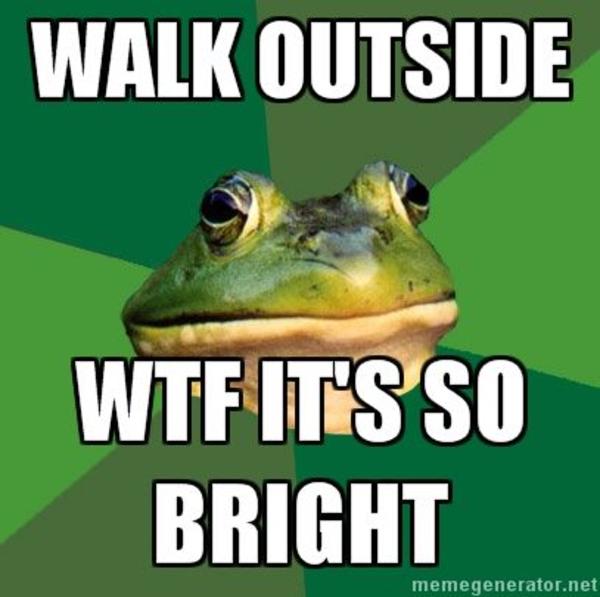 [Image - 25644] | Foul Bachelor Frog | Know Your Meme