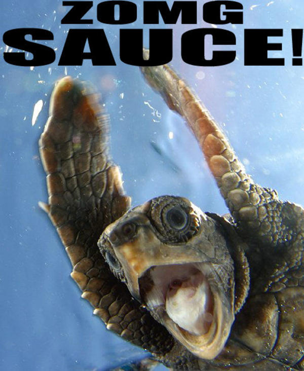 [Image - 25757] | Sauce | Know Your Meme